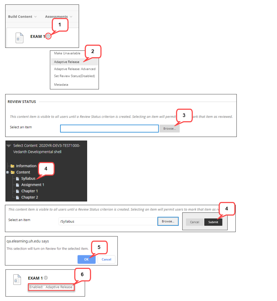 Review Status And Adaptive Release In Blackboard