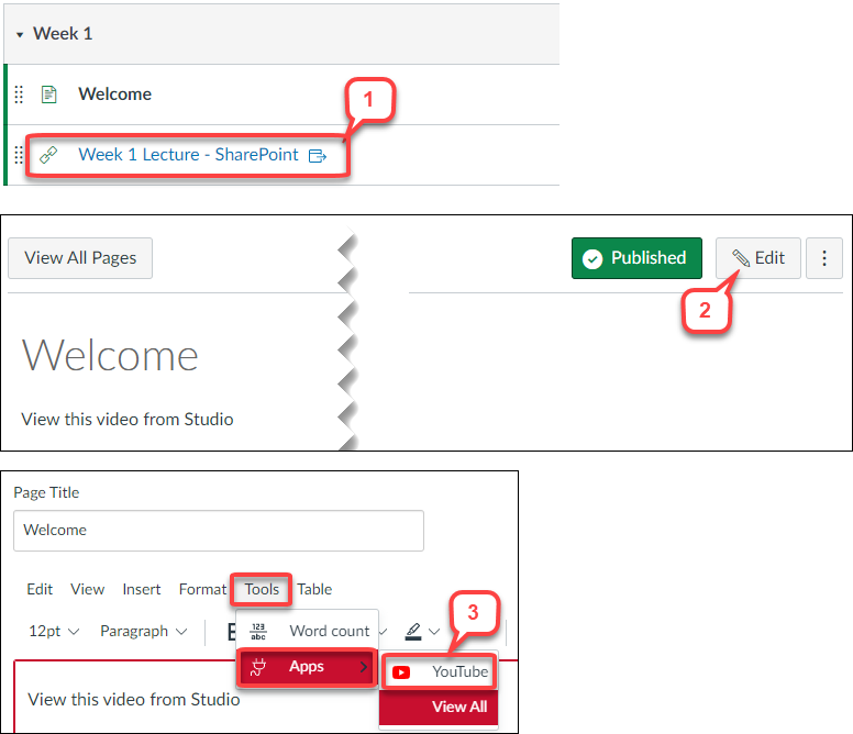 Canvas How To Embed YouTube Video Instruction UH