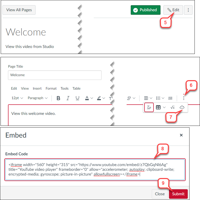 Canvas How To Embed YouTube Video Instruction UH