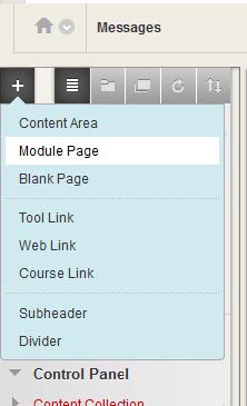 Creating-a-Module-Home-Page – Instruction @ UH