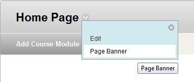 Creating-a-Module-Home-Page3 – Instruction @ UH