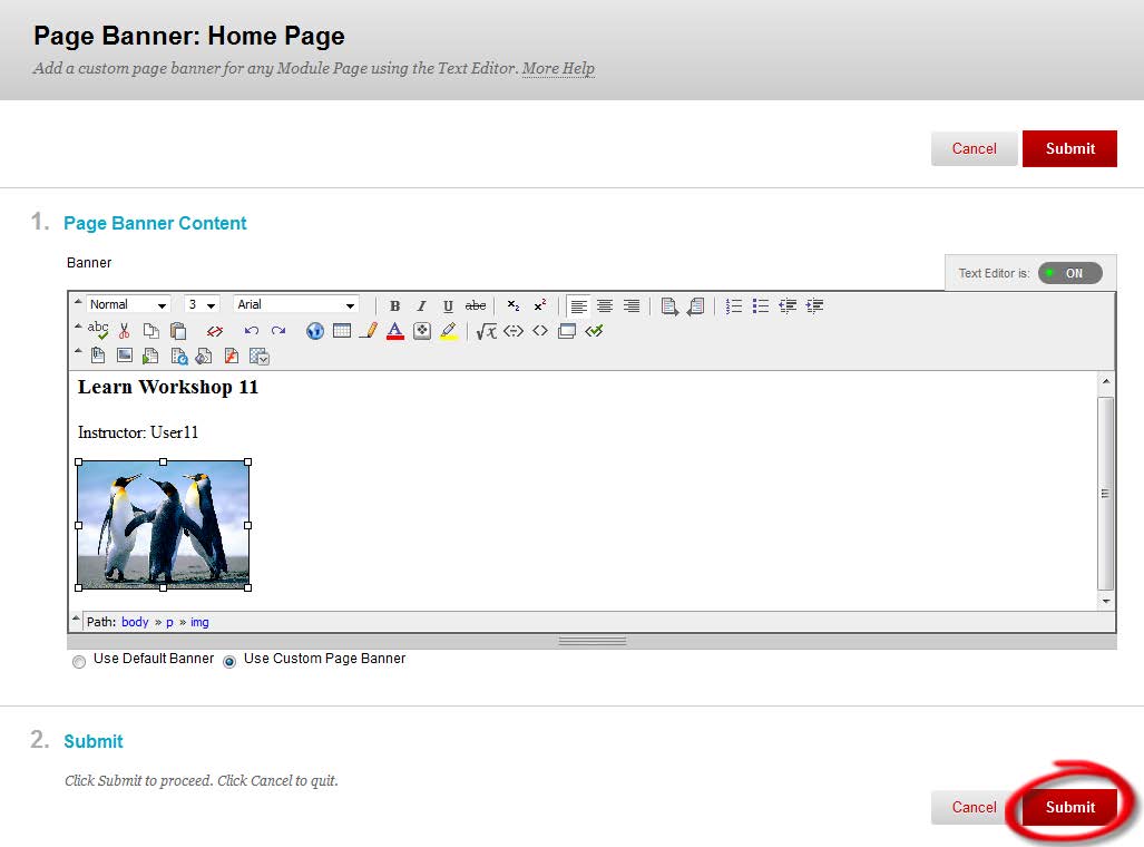 Creating-a-Module-Home-Page4 – Instruction @ UH
