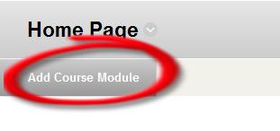 Creating-a-Module-Home-Page5 – Instruction @ UH