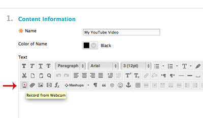 youtube_learn – Instruction @ UH